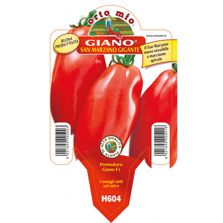 San Marzano gigante Giano F1